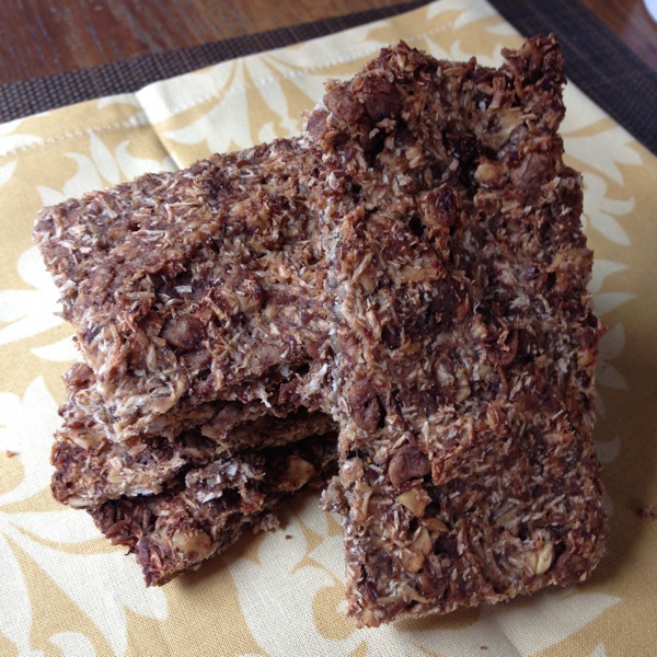 Cocoa Coconut Snack Bar Recipe – Sarah Fit